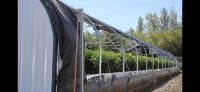 China Light Deprivation Greenhouse 10m*100m For Hydroponic Hemp Growing for sale