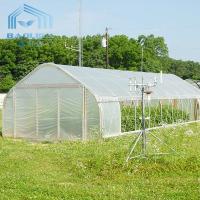 China Tunnel Single Span Greenhouse For Vegetables Growing Agricultural Farming for sale