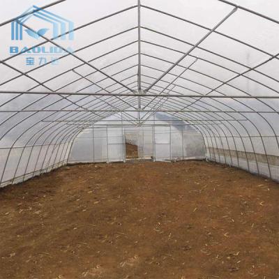 China Hot Aluminized Zinc Single Span Plastic Film Greenhouse 8m Width for sale