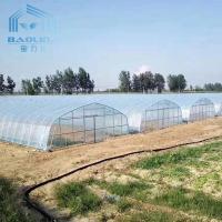 China Tunnel Single Span Greenhouse For Vegetables Growing Agricultural Farming for sale