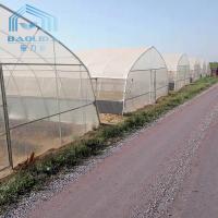 China Tunnel Single Span Greenhouse For Vegetables Growing Agricultural Farming for sale