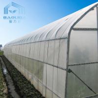 China Tunnel Single Span Greenhouse For Vegetables Growing Agricultural Farming for sale