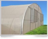 China Hot Dip Galvanized Area Ecological Agricultural Greenhouse Plastic Film Greenhouse for sale