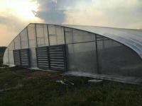 China Hot Dip Galvanized Area Ecological Agricultural Greenhouse Plastic Film Greenhouse for sale