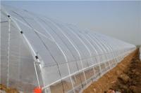 China Single Span Vegetable Tunnel Plastic Grow House Agricultural Galvanized for sale