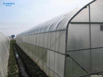 China Tunnel Single Span Greenhouse For Vegetables Growing Agricultural Farming for sale