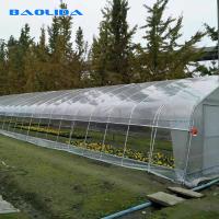 China Tunnel Single Span Greenhouse For Vegetables Growing Agricultural Farming for sale