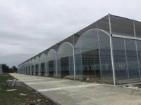 China Vegetable Multiple Tunnel Plastic Film Sheet Covering Multi Span Greenhouse for sale