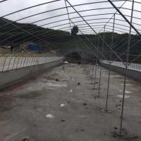China Double Arch Polyethylene Film Greenhouse Agriculture Multi Span Greenhouses for sale