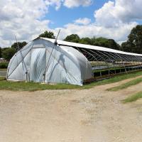 China 10m*100m Hydroponic Light Deprivation Greenhouse For Hemp Growing for sale