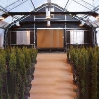 China Light Deprivation Plastic Agriculture Blackout Single Span Greenhouse For Medical for sale