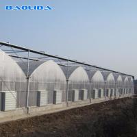 China Prefabricated Tunnel Plastic Film Multispan Greenhouse Plastic Film Greenhouse for sale