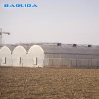 China Prefabricated Tunnel Plastic Film Multispan Greenhouse Plastic Film Greenhouse for sale