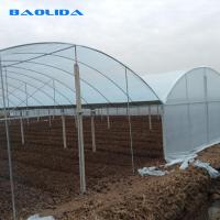 China 150 Micron PE Film Agricultural Greenhouse For Vegetable Fruit Growing for sale