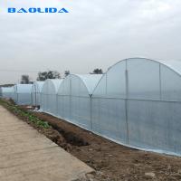 China 150 Micron PE Film Agricultural Greenhouse For Vegetable Fruit Growing for sale