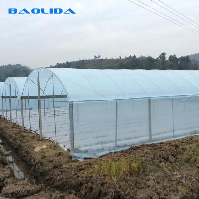 China 150 Micron PE Film Agricultural Greenhouse For Vegetable Fruit Growing for sale