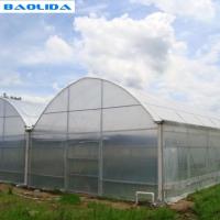 China Agricultural Plastic Sheeting Greenhouse With Hot Galvanized Steel Framework for sale