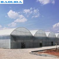 China Vegetable Multiple Tunnel Plastic Film Sheet Covering Multi Span Greenhouse for sale