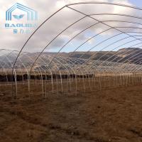 China Agriculture Plants Growing Farming Polyethylene Film Single Span Tunnel Plastic Greenhouse for sale