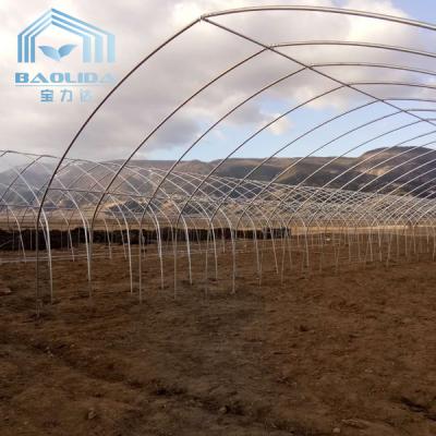 China Agriculture Plants Growing Farming Polyethylene Film Single Span Tunnel Plastic Greenhouse for sale