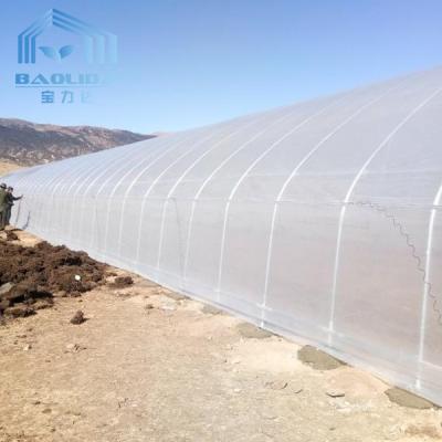China Two Side Net Tunnel Plastic Greenhouse Insect Proof With Air Conditioner for sale