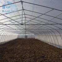 China Agriculture Plants Growing Strong Structure Polyethylene Film Greenhouse for Cold Area for sale