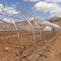 China Agriculture Plants Growing Strong Structure Polyethylene Film Greenhouse for Cold Area for sale