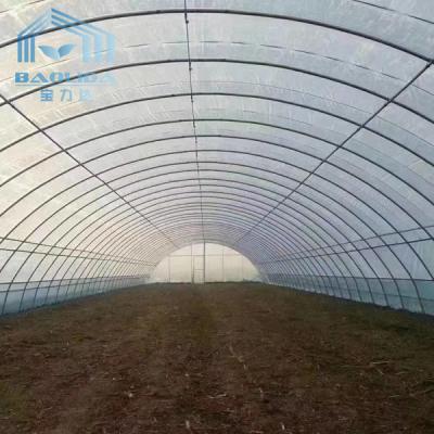 China Agriculture Plants Growing Strong Structure Polyethylene Film Greenhouse for Cold Area for sale