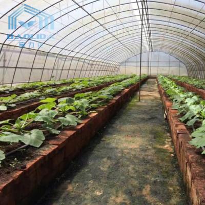 China Commercial Plastic Film Galvanized Transparent Tunnel Plastic Greenhouse for sale