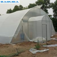 China Vegetable Tunnel Plastic Film Greenhouse Single Span Hot Dip Galvanized for sale