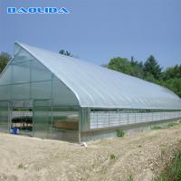 China Vegetable Tunnel Plastic Film Greenhouse Single Span Hot Dip Galvanized for sale