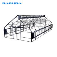 China Vegetable Tunnel Plastic Film Greenhouse Single Span Hot Dip Galvanized for sale