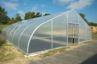 China Vegetable Tunnel Plastic Film Greenhouse Single Span Hot Dip Galvanized for sale