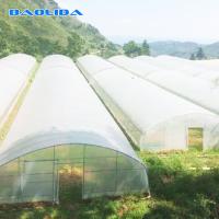 China Vegetable Tunnel Plastic Film Greenhouse Single Span Hot Dip Galvanized for sale
