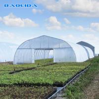 China Vegetable Tunnel Plastic Film Greenhouse Single Span Hot Dip Galvanized for sale
