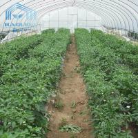 China Polyethylene Vegetable Tunnel Film Greenhouse Galvanized Single Span for sale