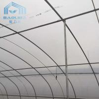 China Polyethylene Vegetable Tunnel Film Greenhouse Galvanized Single Span for sale