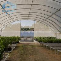 China Polyethylene Vegetable Tunnel Film Greenhouse Galvanized Single Span for sale