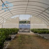 China Fruit And Veggies PE Film Greenhouse Single Polyethylene Film Greenhouse for sale