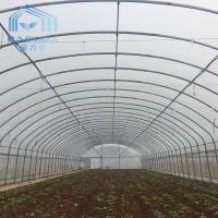 China Farming Singlespan Tunnel Greenhouse With Irrigation And Hydroponic Growing System for sale