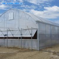 China Agriculture Hemps Growing Light Deprivation Greenhouse Automated Blackout for sale