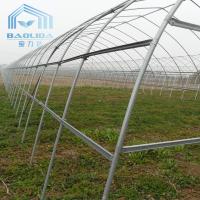 China Agriculture Cucumber Chili Single Span Tunnel Plastic Greenhouse With Shading System for sale
