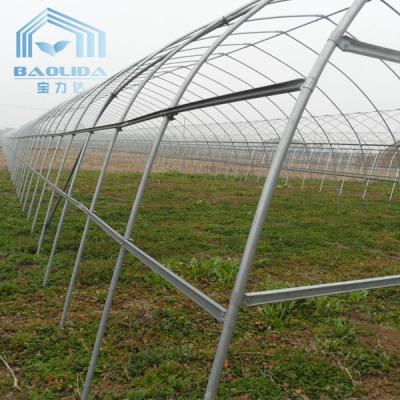 China Agriculture Cucumber Chili Single Span Tunnel Plastic Greenhouse With Shading System for sale