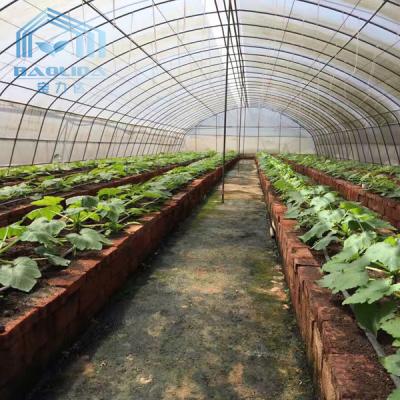 China Galvanized Steel Tunnel Plastic Film Greenhouseouse with Shading Net for sale