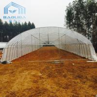 China Single Span Plastic Tunnel Greenhouses Polyethylene Film Greenhouse For Vegetables Farming for sale