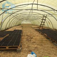 China Single Layer Polyethylene Film Greenhouse Steel Structure Anti Rust for sale