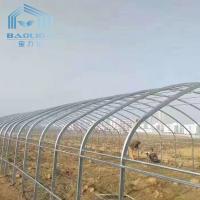China Single Span Plastic Tunnel Greenhouses Polyethylene Film Greenhouse For Vegetables Farming for sale