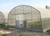 China Single Layer Polyethylene Film Greenhouse Steel Structure Anti Rust for sale