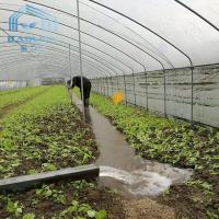 China Dragon Fruit Cucumber  80 / 150 Micron Plastic Film Single Span Tunnel Plastic Greenhouse for sale