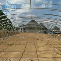 China Single Layer Polyethylene Film Greenhouse Steel Structure Anti Rust for sale